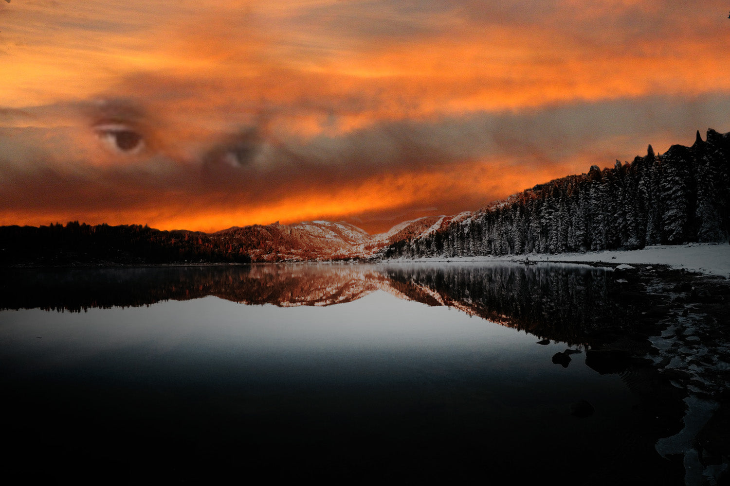 Tenacity - Mens Collection – GoofyPRO